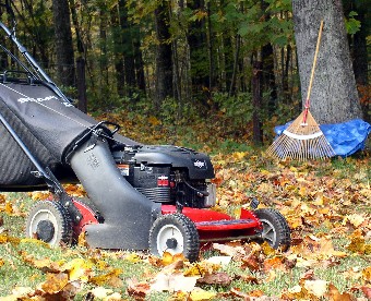 12 Rules of Raking – Mother Earth News